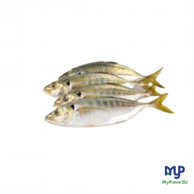 Ikan Pelata – 3–5 Ekor | Siap Siang & Vakum
